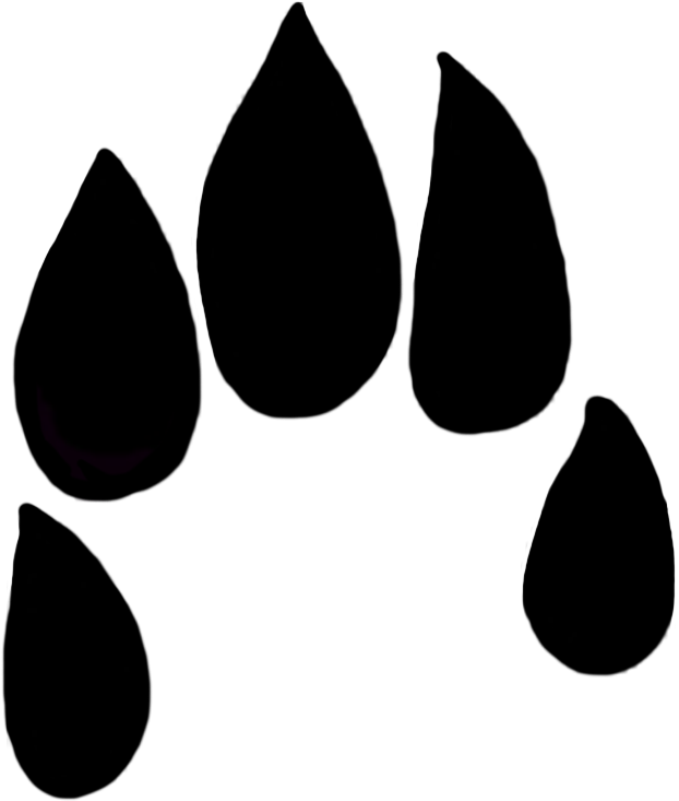 Animal Clipart - Rabbit Paw Print Transparent - Png Download - Full ...