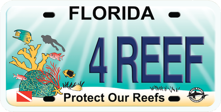 Protect Our Reef Plate - Reef Logo Clipart - Full Size Clipart (#514179 ...