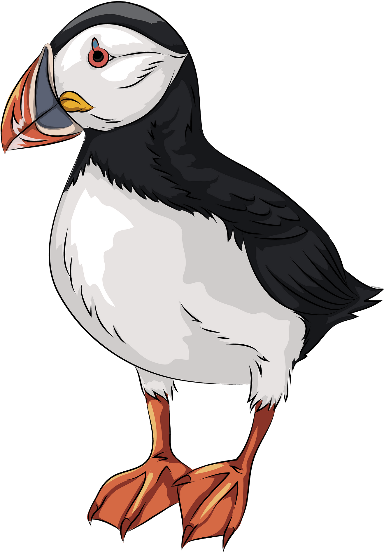 Atlantic Puffin Clipart - Transparent Puffin Clipart - Png Download ...
