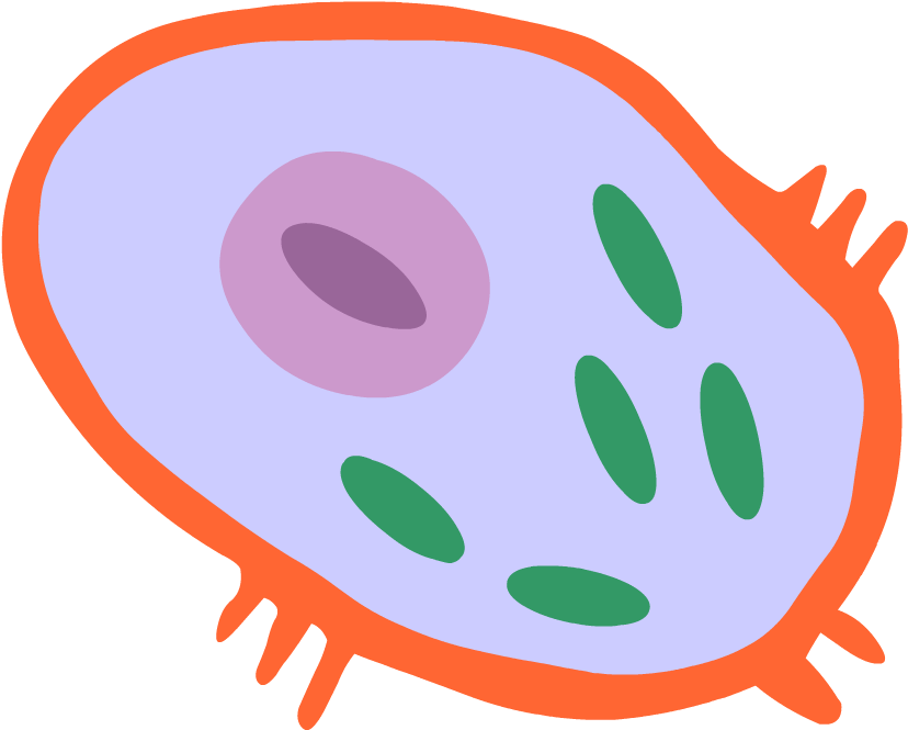 Cell Science Icon Png Clipart - Full Size Clipart (#524611) - PinClipart