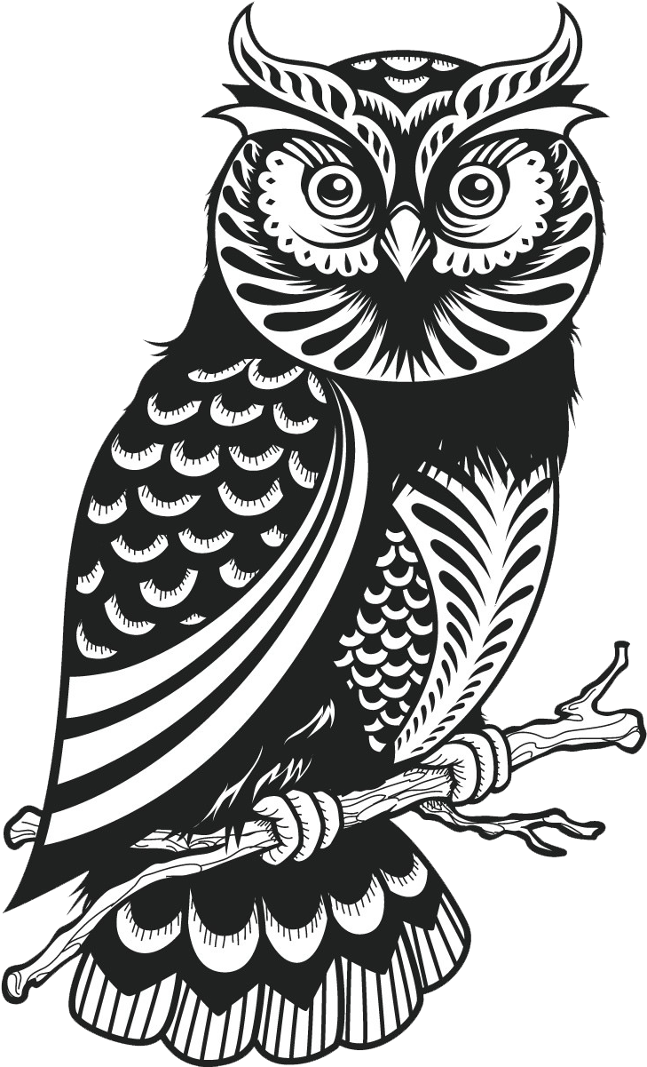 Owl Black And White Clipart - Full Size Clipart (#5200108) - PinClipart