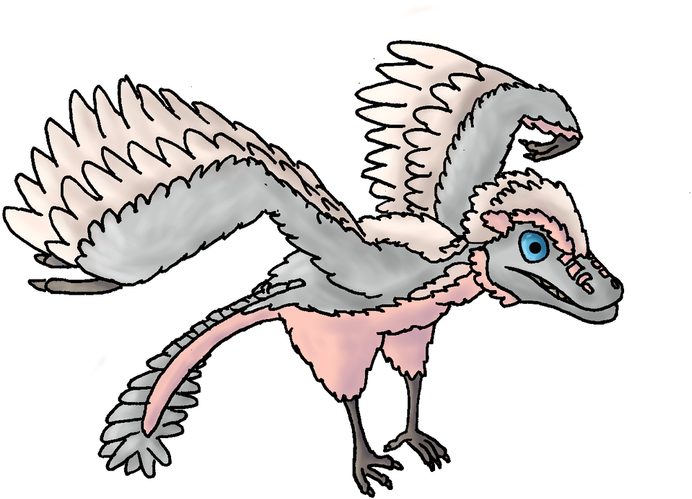 Ark Survival Evolved Archaeopteryx - Ark Survival Evolved Drawings ...