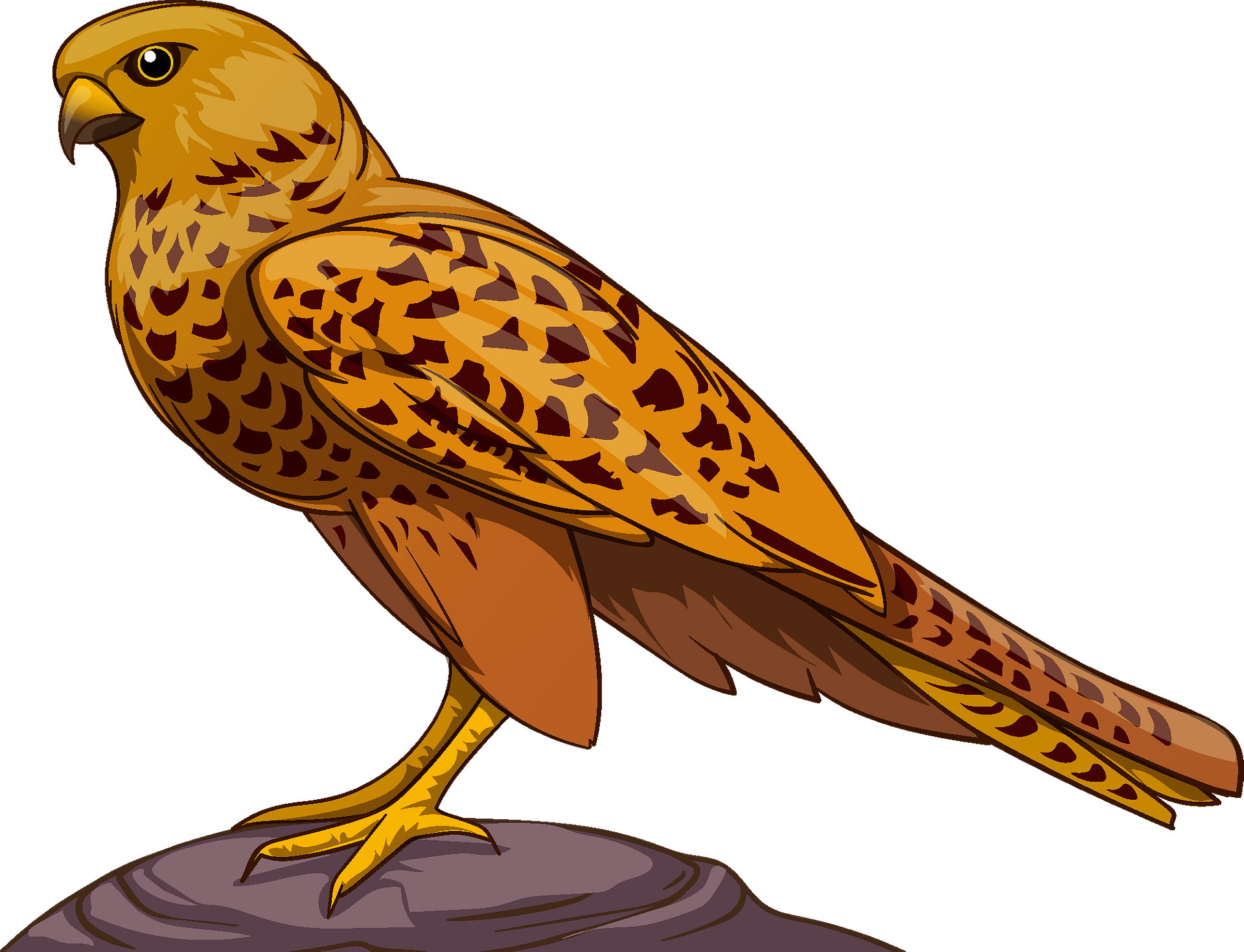 Falcon Clipart - Full Size Clipart (#5210564) - PinClipart