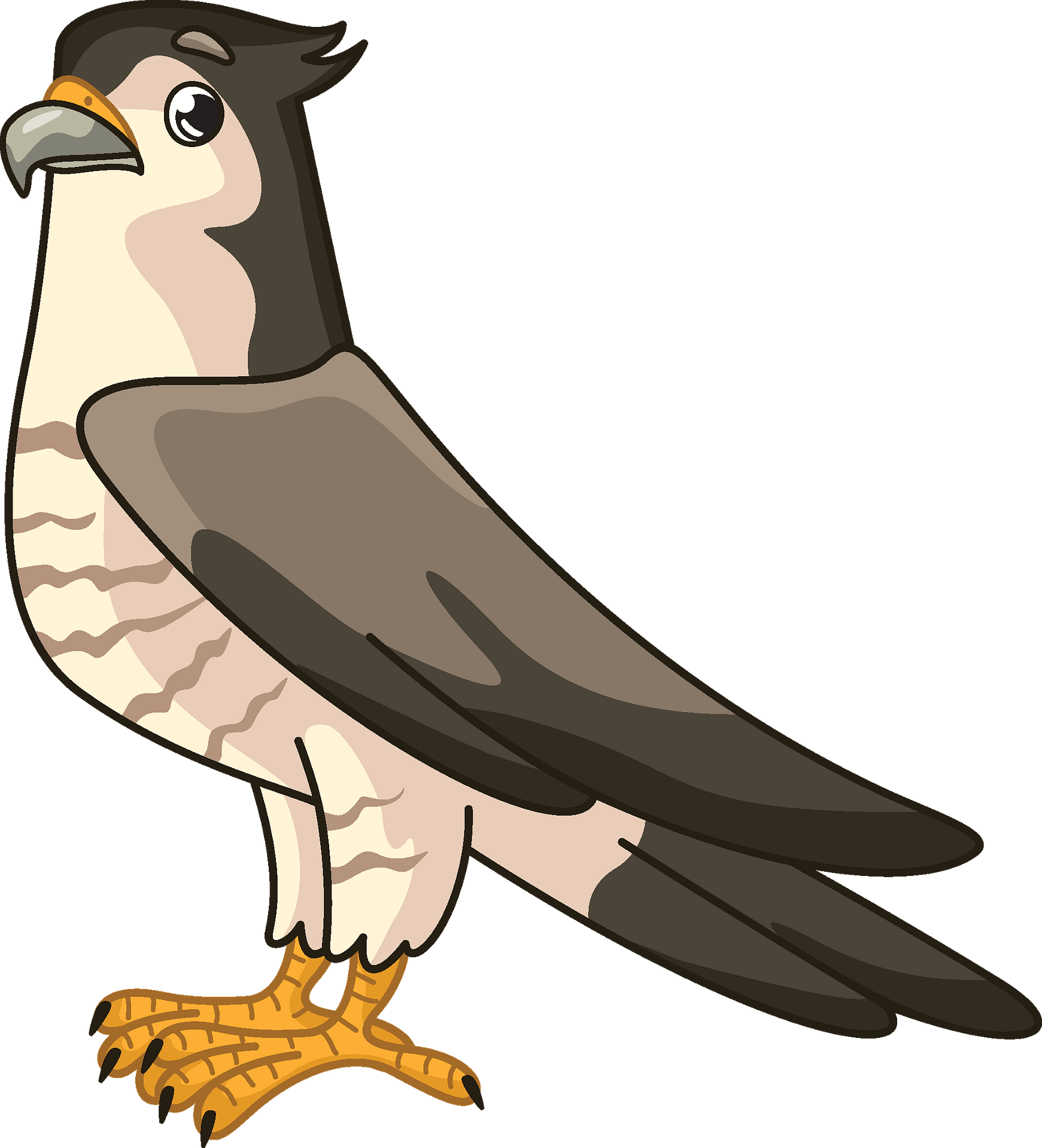 Buzzard Clipart - Full Size Clipart (#5210609) - PinClipart
