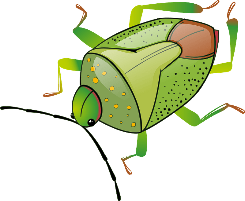 Bug Clipart - Png Download - Full Size Clipart (#5212883) - PinClipart