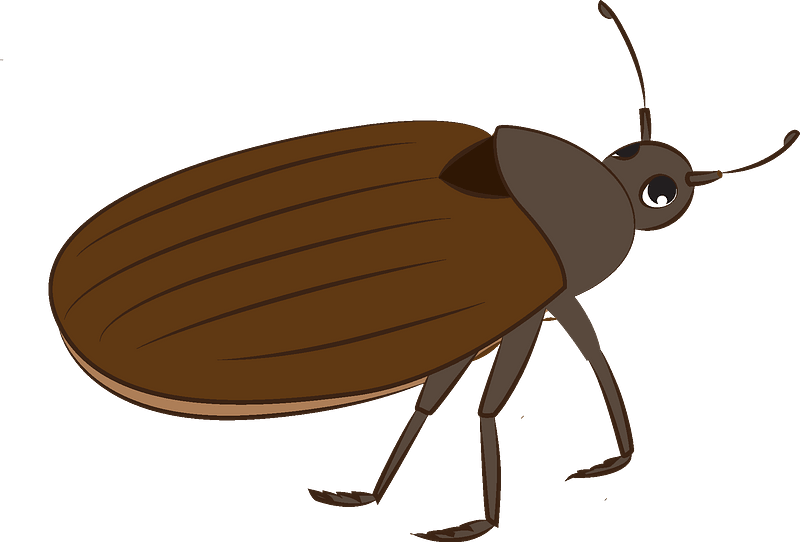 Bug Clipart - Weevil - Png Download - Full Size Clipart (#5213035 ...