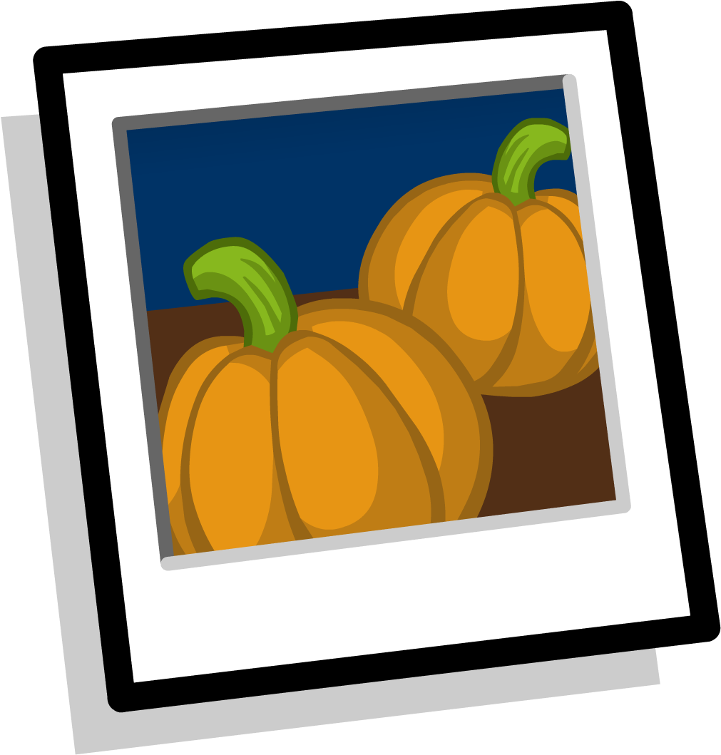 Club Penguin Wiki - Pumpkin Clipart - Full Size Clipart (#5214171 ...