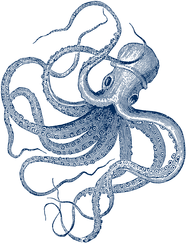 Vintage Octopus Illustration Clipart - Full Size Clipart (#5217090 ...