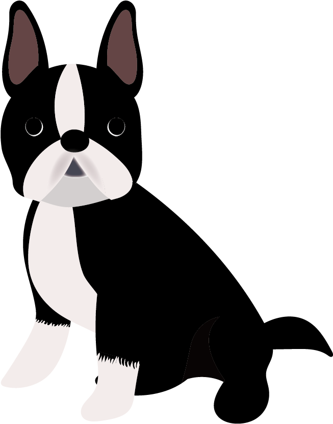 Boston Terrier Puppy Dog Breed Companion Dog French - Boston Terrier ...