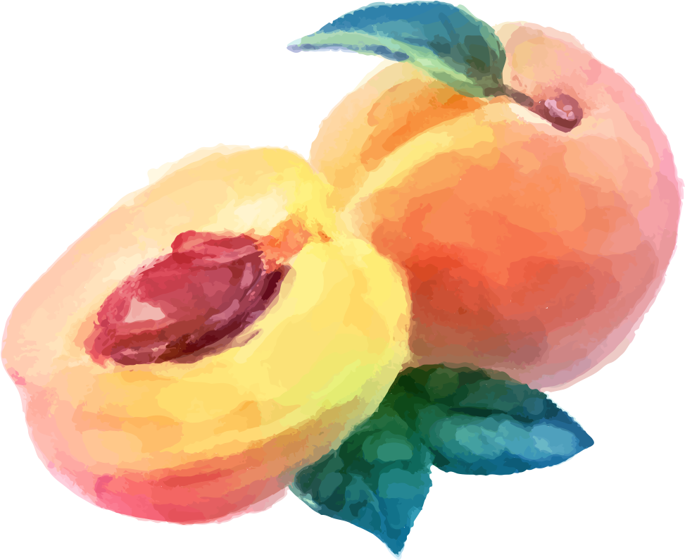 Watercolor Painting Peach Fruit Drawing - Peach Watercolor Png Clipart ...