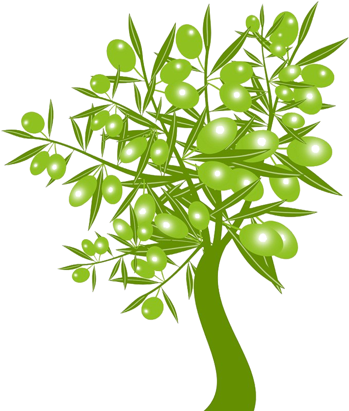 Download Olive Stock Photography Clip Art - Green Olive Tree - Png ...