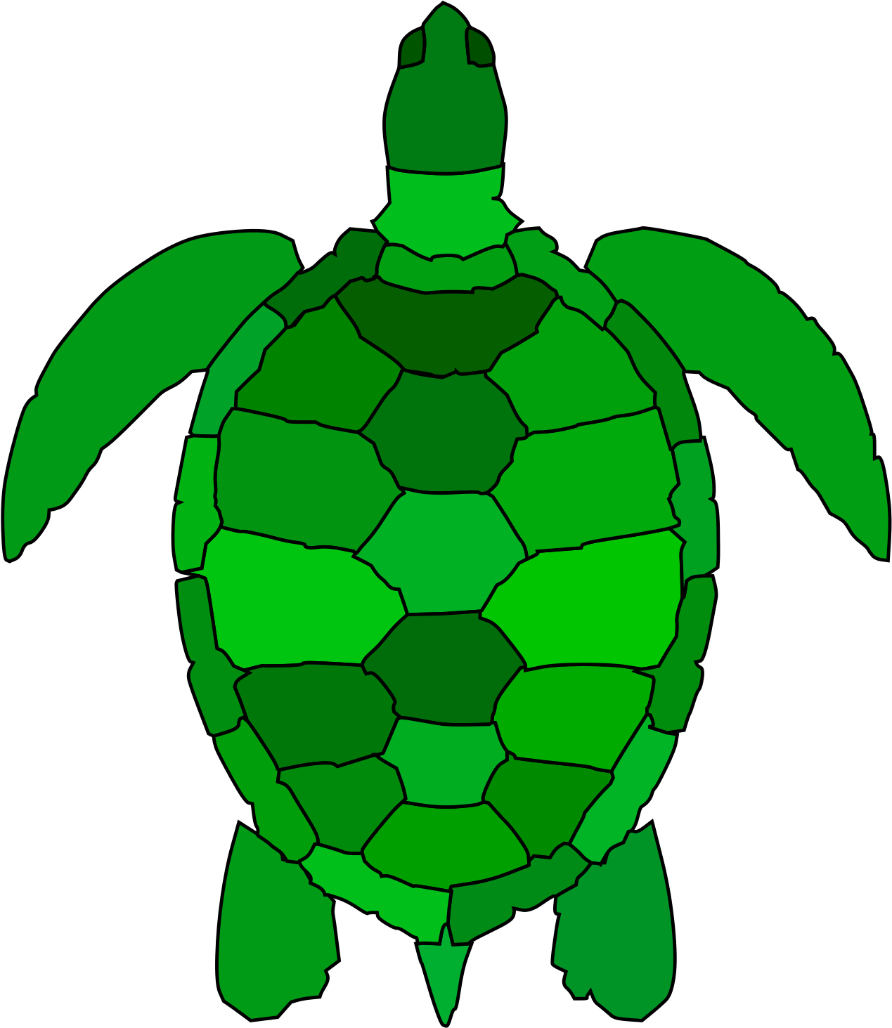 Green Sea Turtle Clipart - Png Download - Full Size Clipart (#5234338 ...
