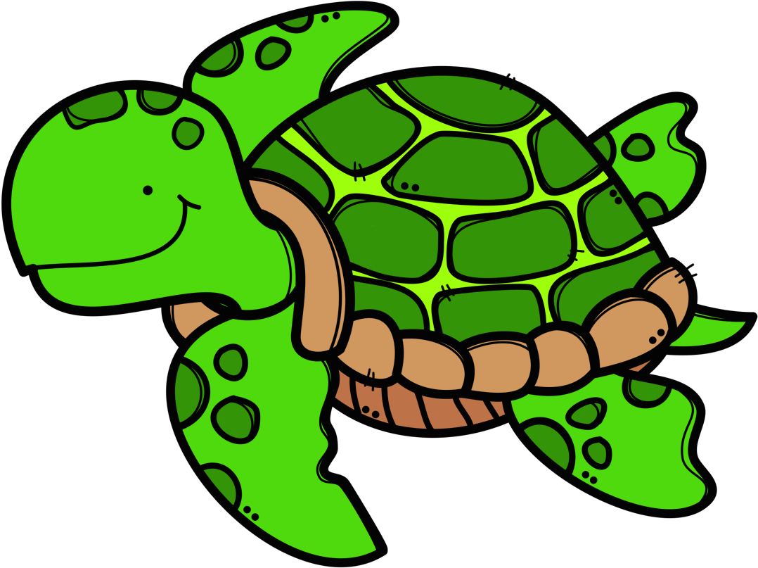 Sea Turtle Contents Png Clipart Transparent Png - Full Size Clipart ...