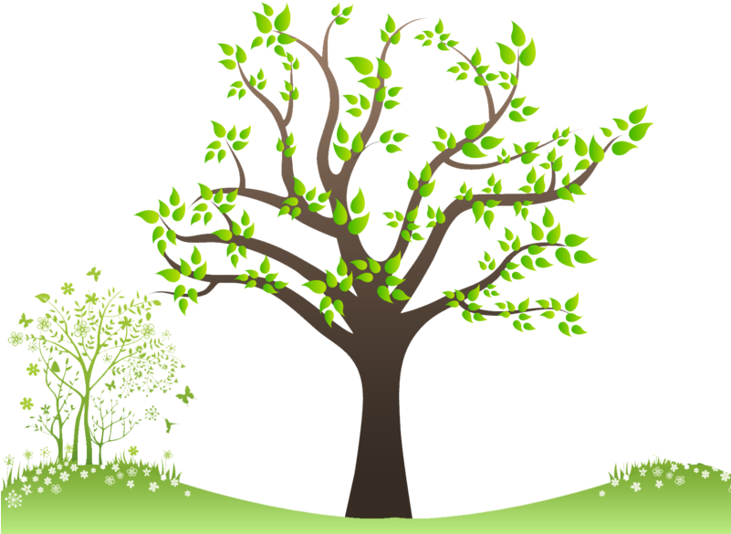 Family Tree Png - Family Tree Hd Png Clipart - Full Size Clipart ...