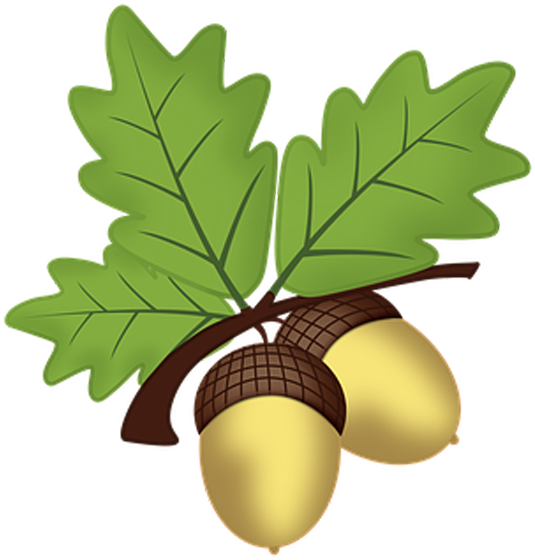 Oak Leaf And Acorn Clipart - Png Download - Full Size Clipart (#5236470 ...