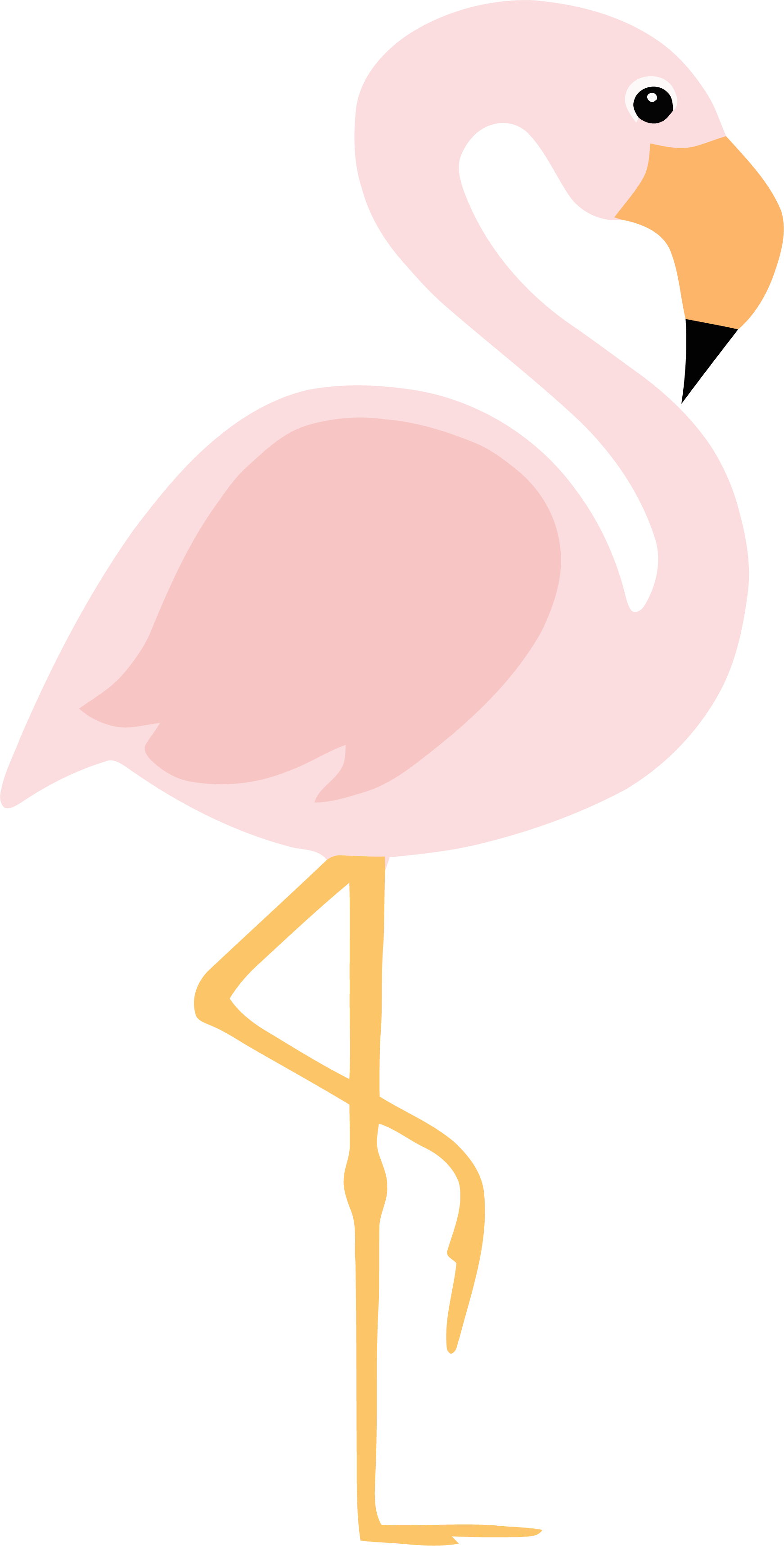 Greater Flamingo Clipart - Full Size Clipart (#5237129) - PinClipart