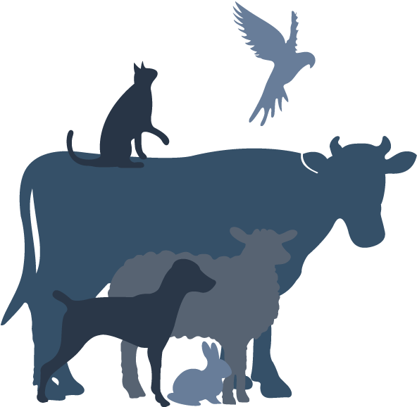 Footer Icons - Dog Clipart - Full Size Clipart (#5242281) - PinClipart