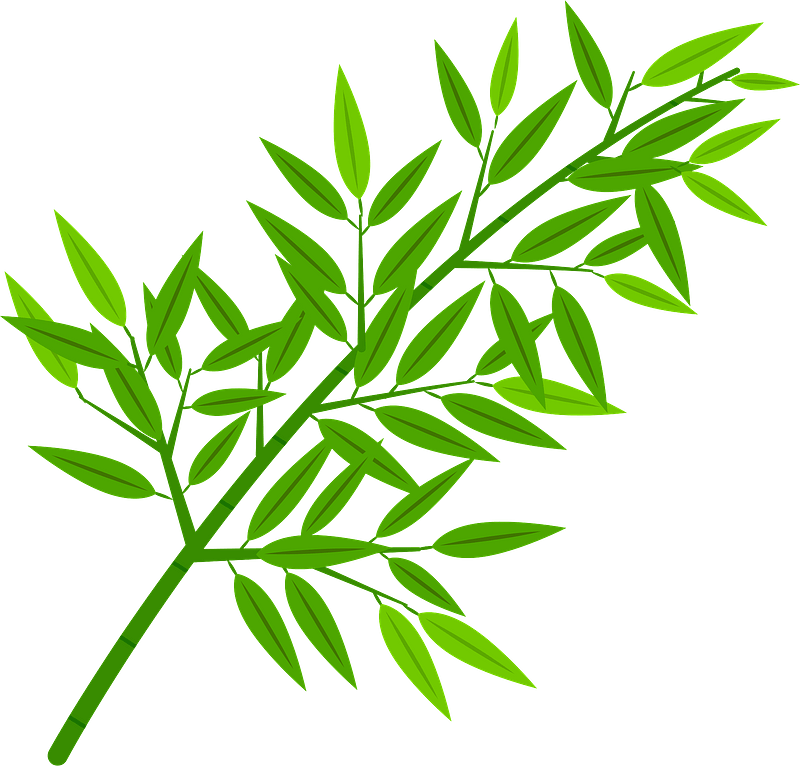 Download Sasa Broad Leaf Bamboo Clipart - 笹 の 葉 無料 イラスト - Png Download ...