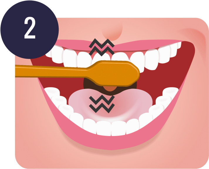 Free Download Brushing Teeth Png Clipart Tooth Brushing - Step To Brush ...