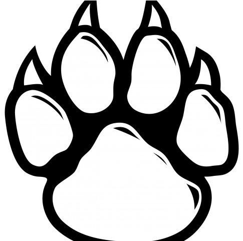 Paw Print Clipart - Tiger Paw Print Drawing - Png Download - Full Size ...