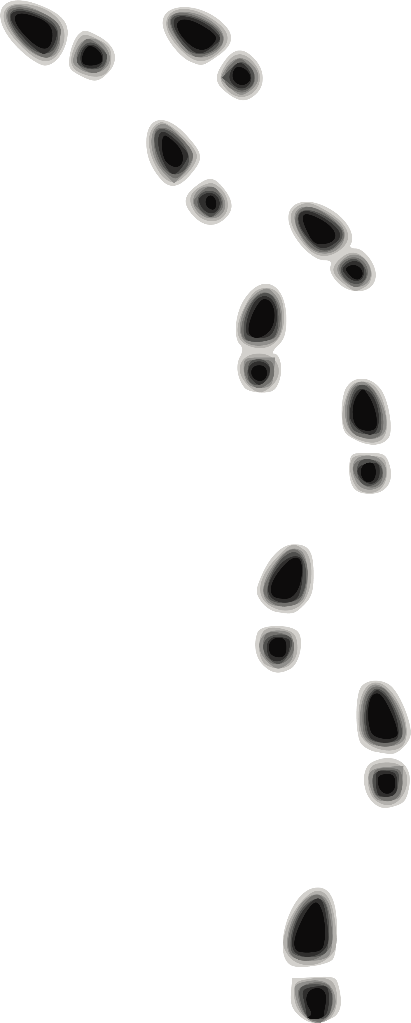 Download Footprints Clipart Footsteps - Harry Potter Footprints Png ...