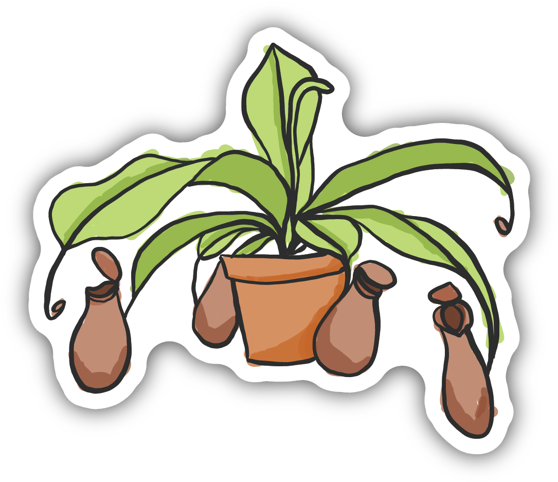 Pitcher Plant Sticker Clipart - Full Size Clipart (#5260096) - PinClipart
