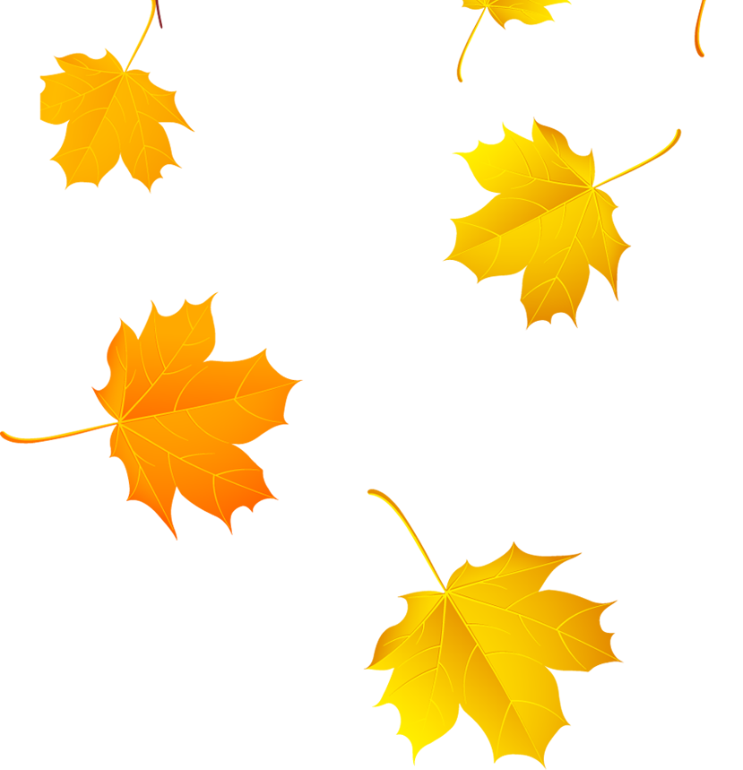 Maple Leaf Yellow Clip Art - Transparent Yellow Leaf Png - Full Size ...