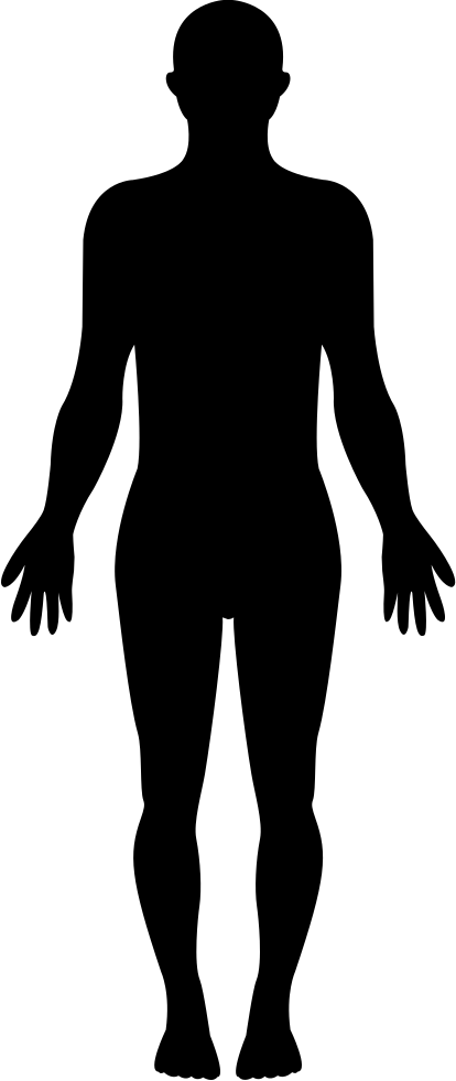 Humans Clipart Whole Body, Humans Whole Body Transparent - Female ...