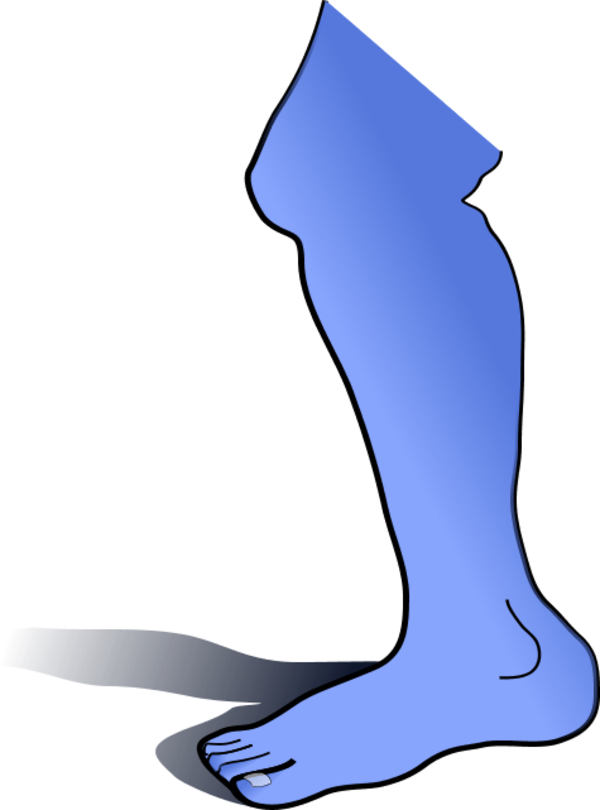 Vector Clip Art - Leg Clip Art - Png Download - Full Size Clipart ...