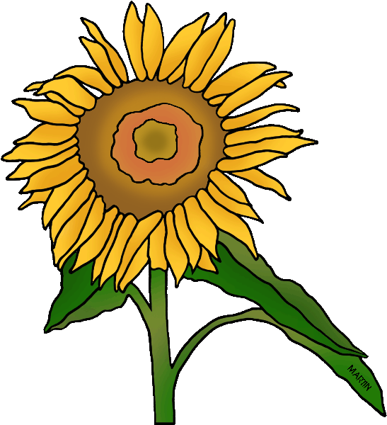 Sunflower Clipart Kansas - Clip Art - Png Download - Full Size Clipart ...