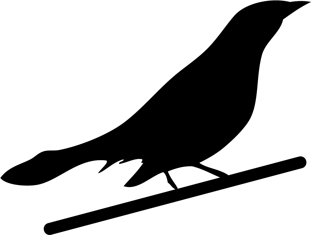 Clipart Grackle Clip Art Freeuse Boat-tailed Grackle - Clip Art - Png ...