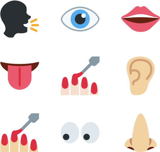 Download Anatomy Vector Body Part - Body Parts Vector Png Clipart ...