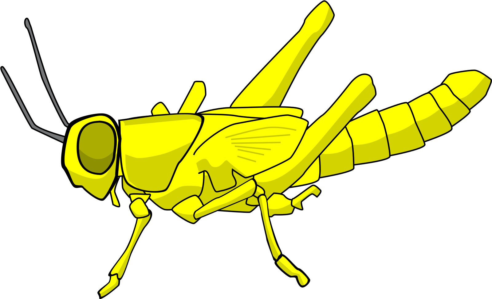 Cartoon Locust Clipart - Full Size Clipart (#5284178) - PinClipart