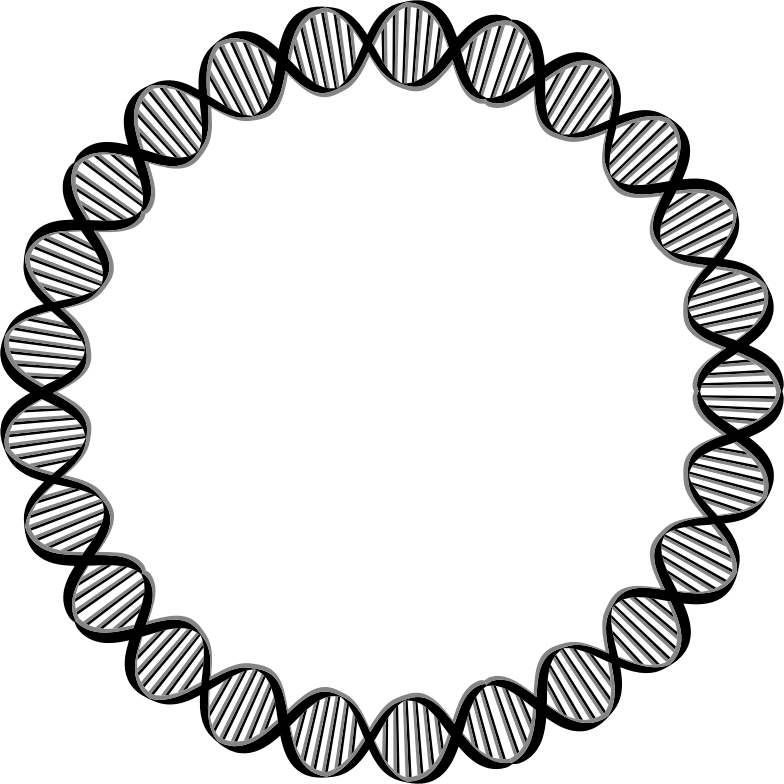 Download Dna Circle Gene Clip Art - Circle Outline Design Png ...