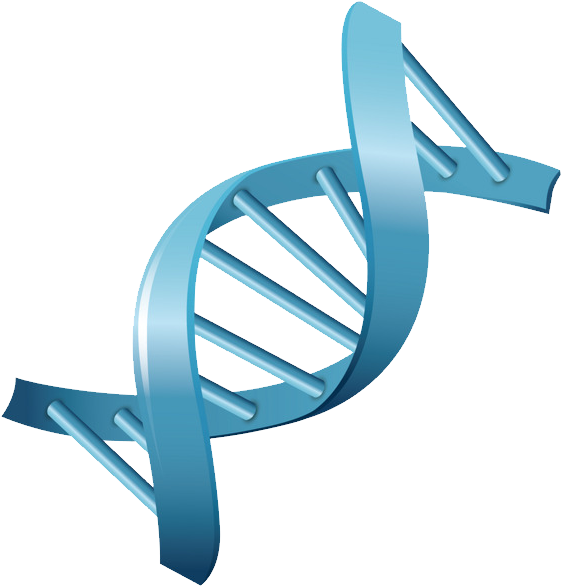 Dna Png - Transparent Molecules Background Png Clipart - Full Size ...