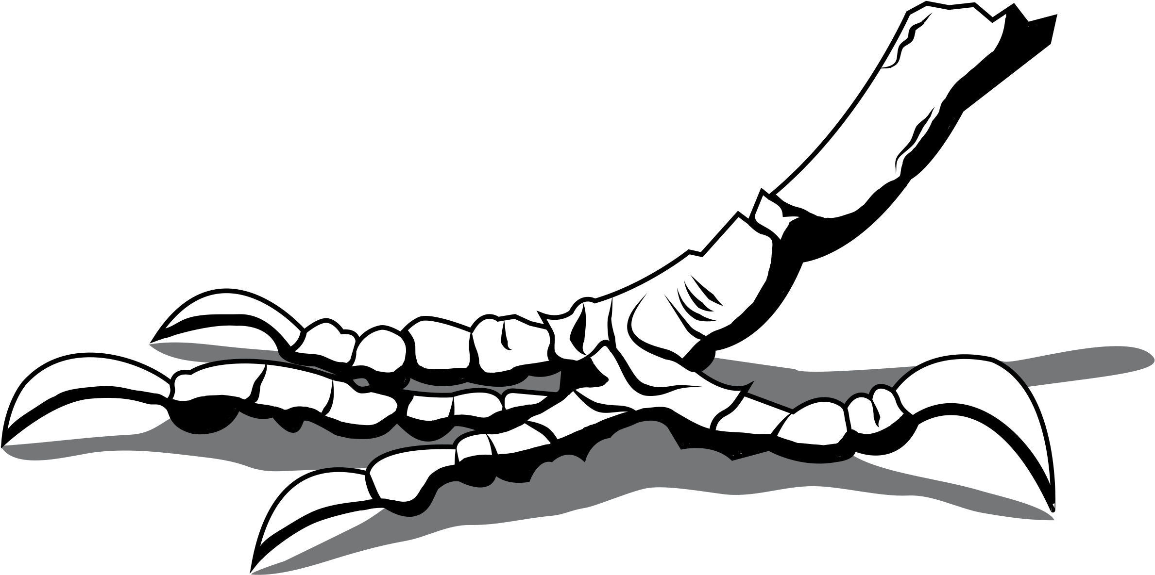 Crow Leg Drawing Clipart - Full Size Clipart (#5286912) - PinClipart