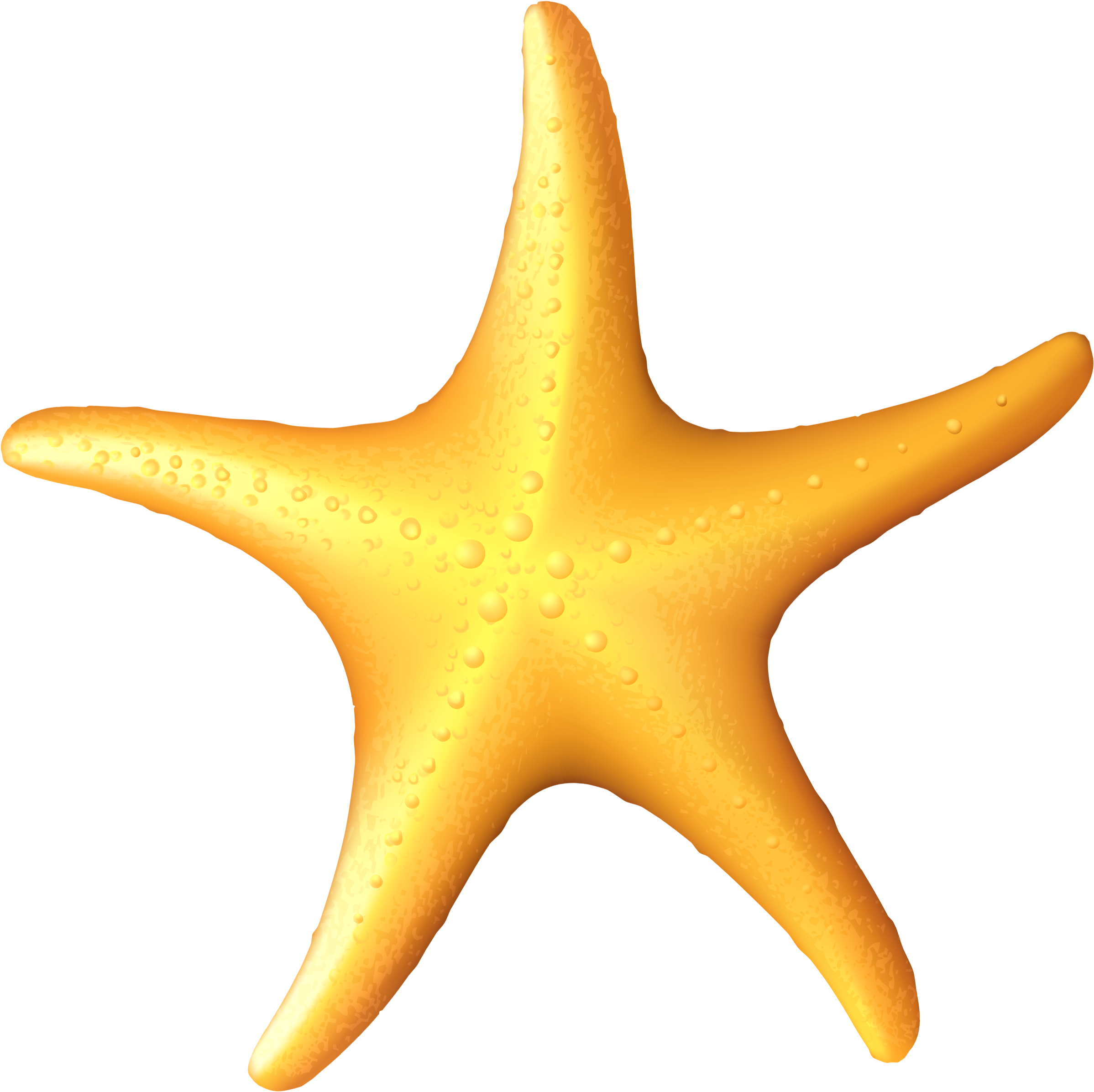 Download Sea Star Clipart - Clipart Starfish - Png Download - Full Size ...