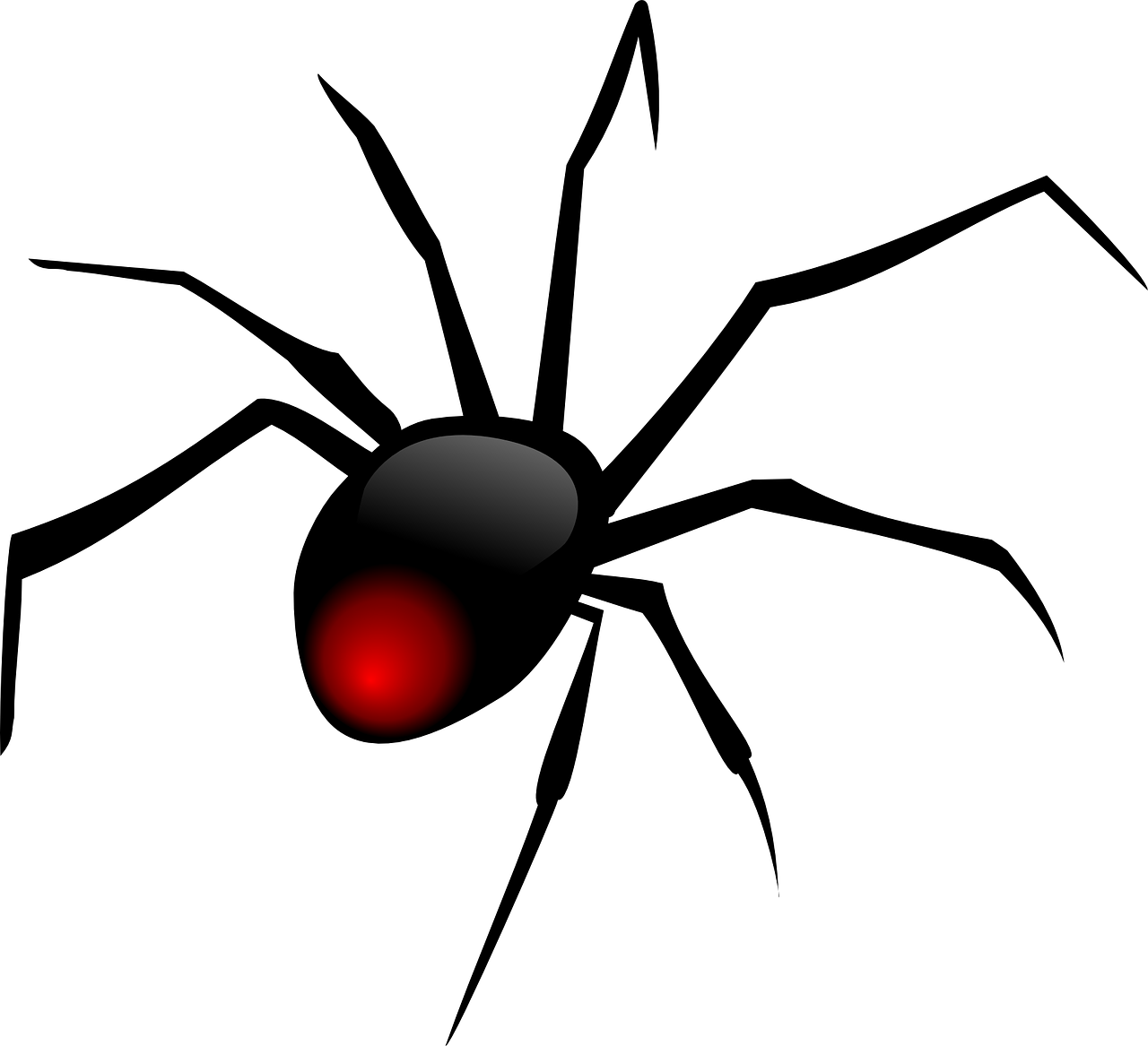 Redback Spider Clip Art - Spider Clipart Png Transparent Png - Full ...