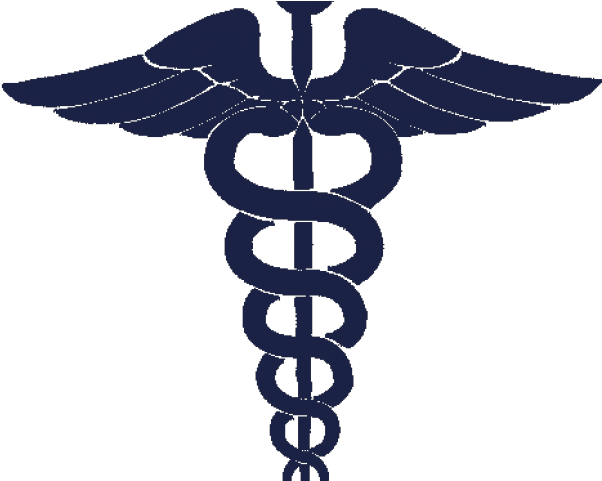 Health Care Professional Symbol Clipart - Full Size Clipart (#535845 ...
