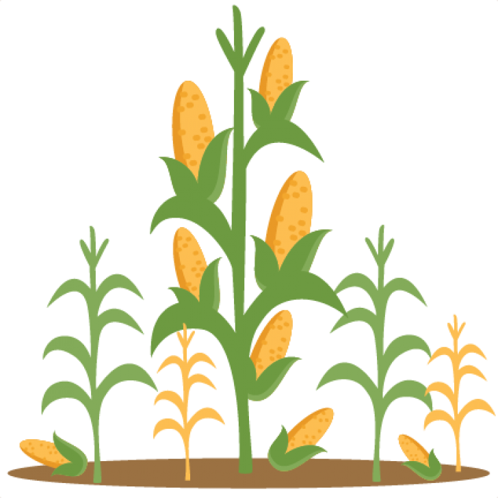 Clip Art Corn Stalks - Png Download - Full Size Clipart (#538005 ...