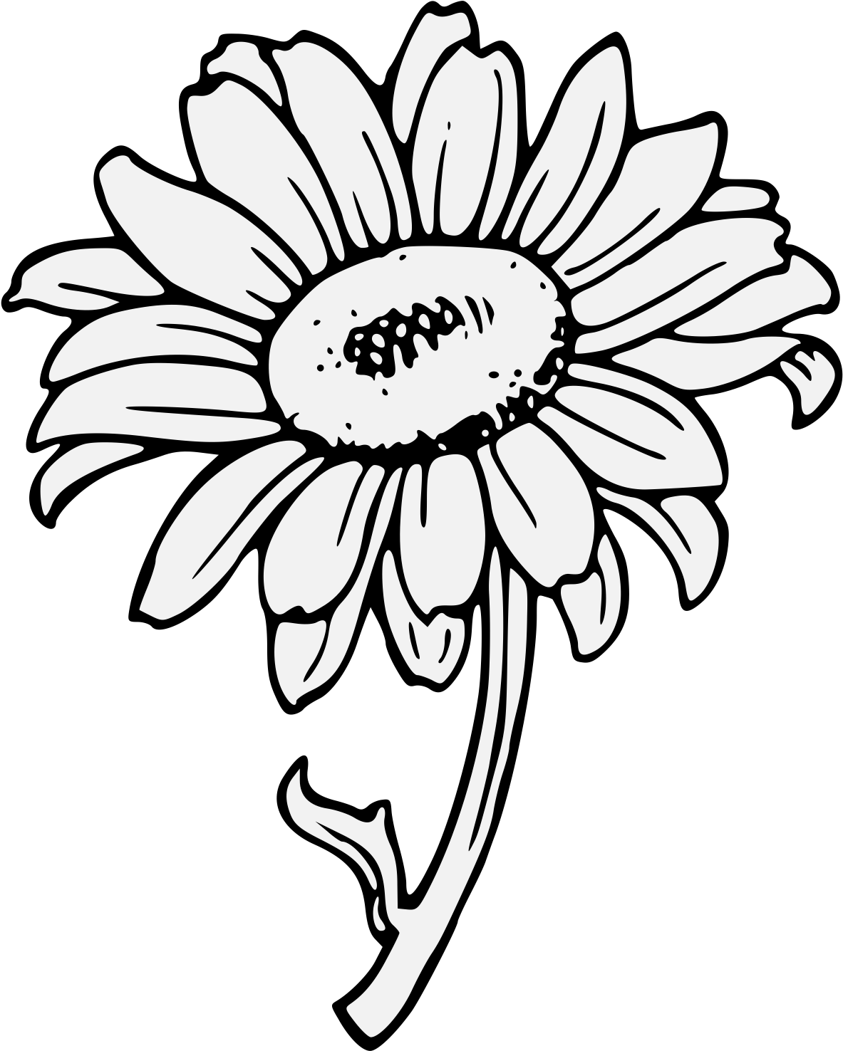 Download Free Download Sunflower Clipart Common Sunflower Clip ...