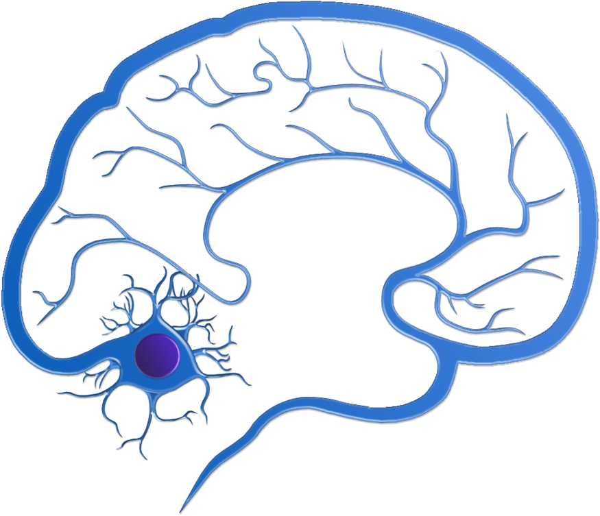 Neurology Logo Clipart - Full Size Clipart (#5324491) - PinClipart