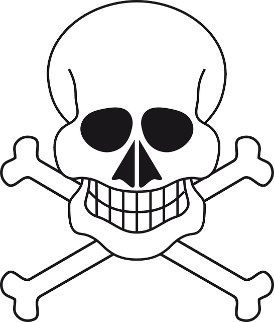 Skull, Skeleton, Pirate, Bones, Vector - Iskelet Çizimi Clipart - Full ...