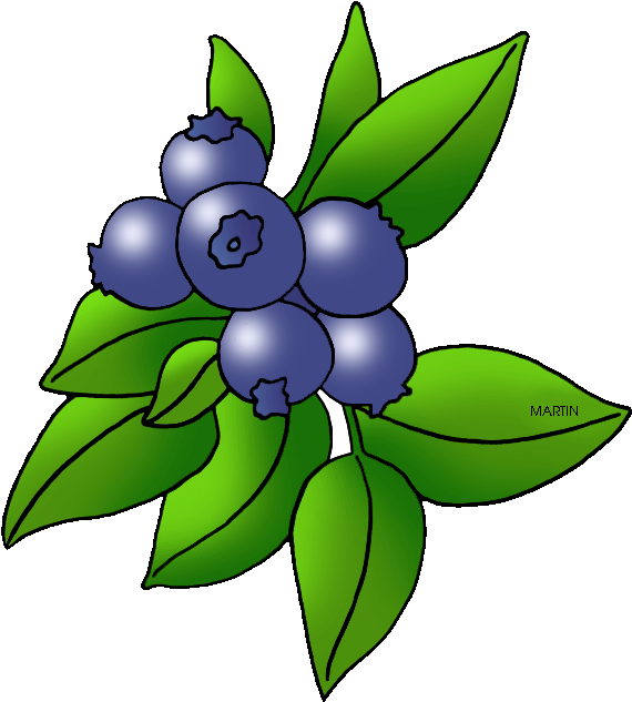 New Jersey State Fruit - Blueberry Bush Clipart - Png Download - Full ...