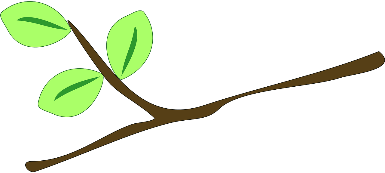 Twig Clipart - Png Download - Full Size Clipart (#5329164) - PinClipart