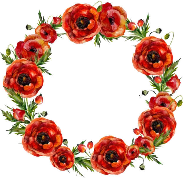 Round Poppy Flower Frame Png Image - Flower Circle Border Png Red ...