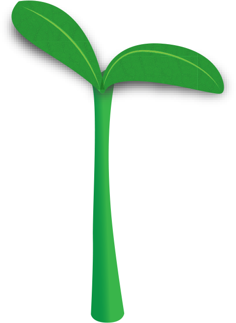 Sprout Clipart Transparent - Sprout Transparent - Png Download - Full ...