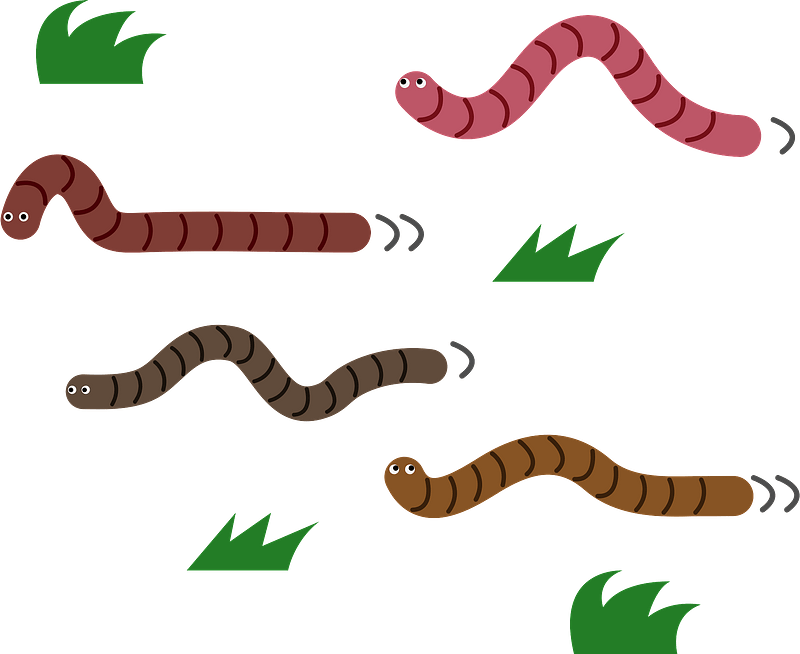 Download Earthworms Animal Clipart - Earthworm - Png Download (#5334016 ...