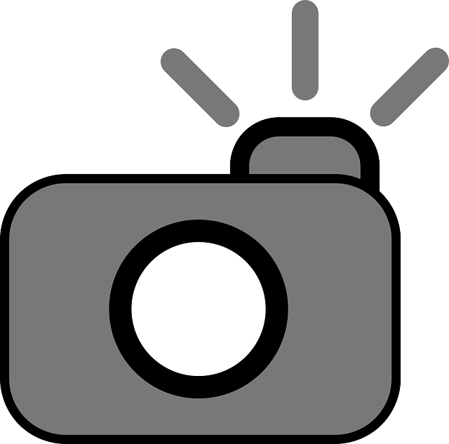 Grey Camera Flash Clipart - Camera Clip Art - Png Download - Full Size ...