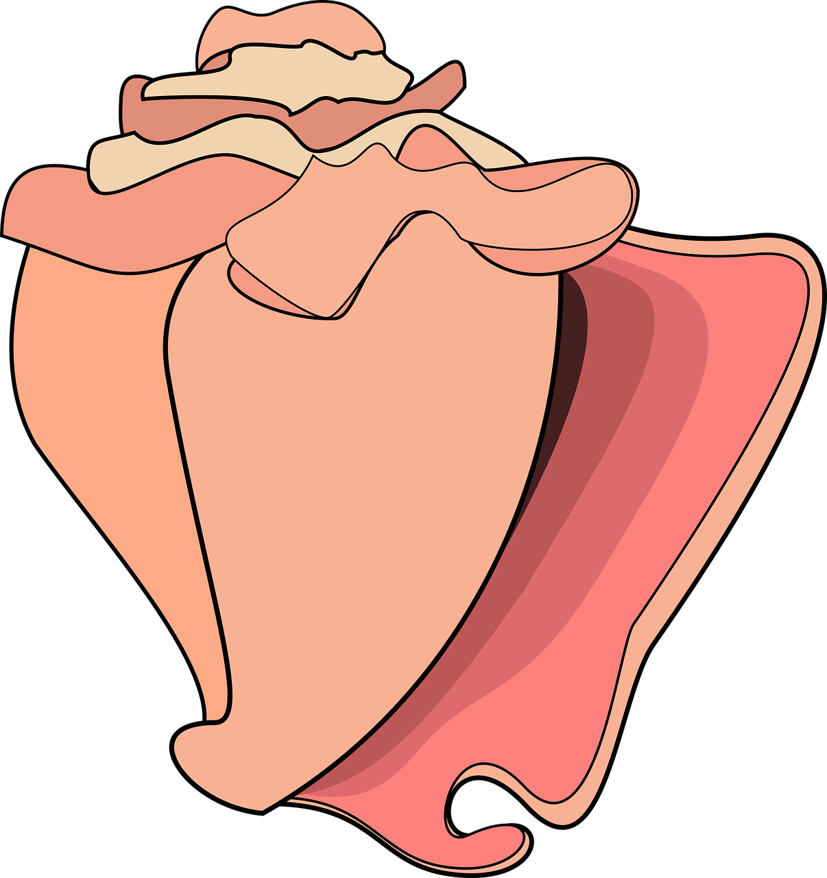 Cartoon Conch Shell Png Clipart - Full Size Clipart (#5335900) - PinClipart